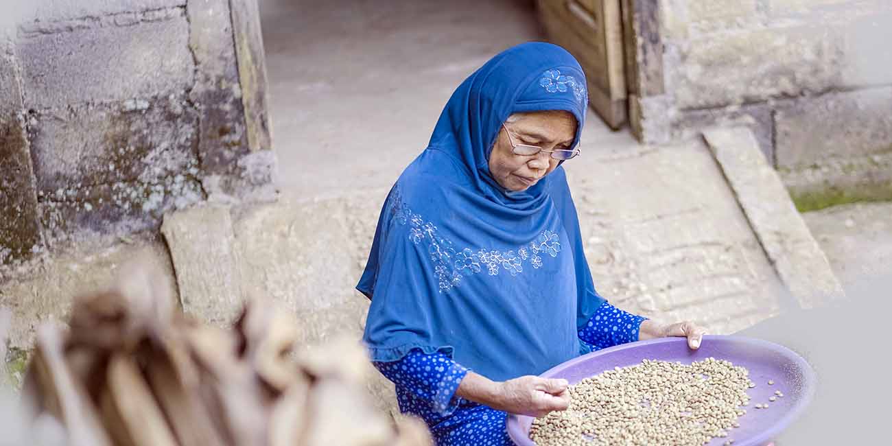 Gallery - Java Coffee Arabica and Robusta Supplier